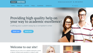 Website Templates for Essay Writing | Essay WP Themes